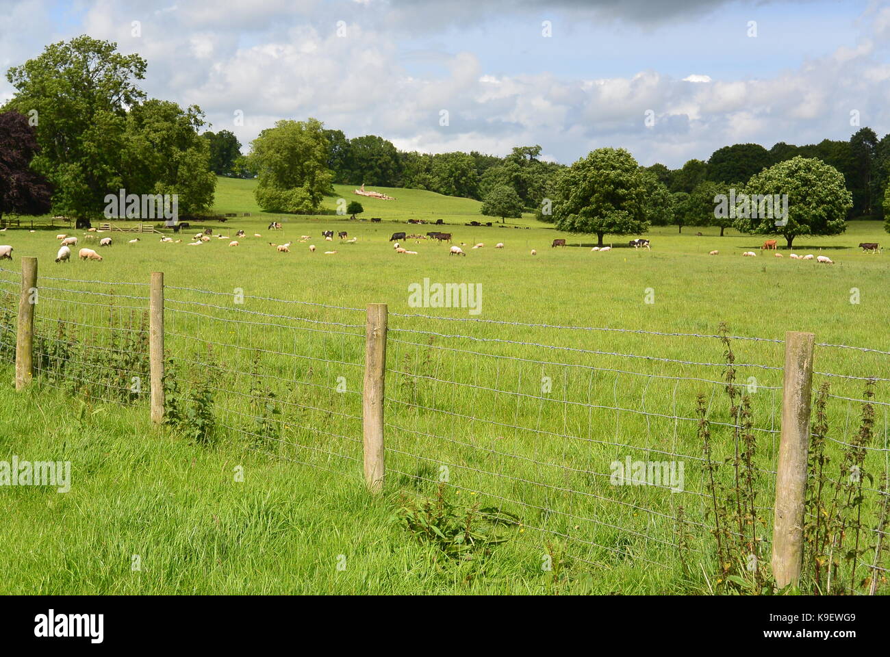 Countryside views of welsh countryside Stock Photo - Alamy