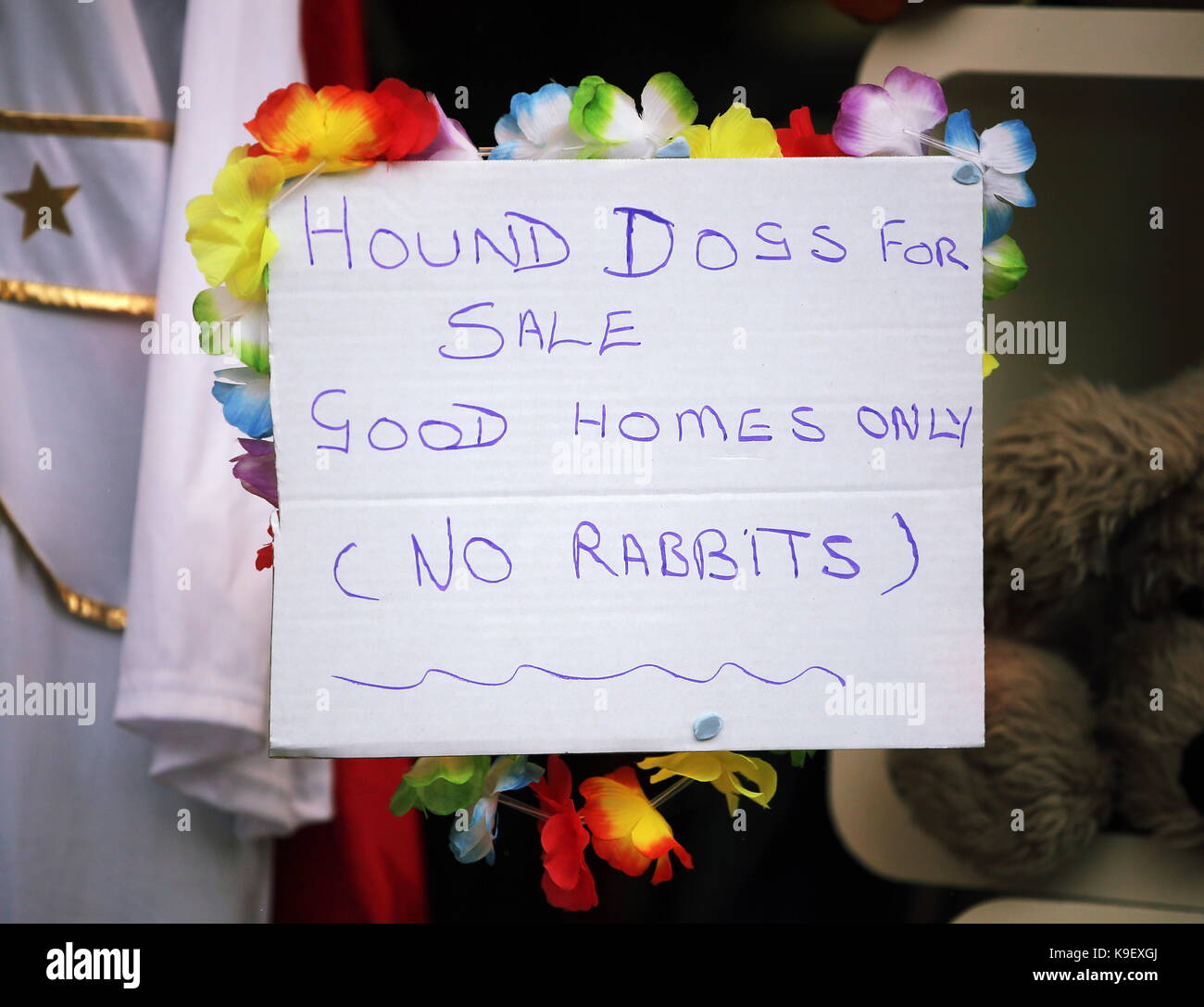 No rabbits sign hi-res stock photography and images - Alamy