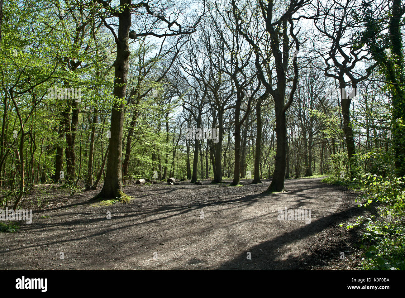 Hockley essex hi-res stock photography and images - Alamy