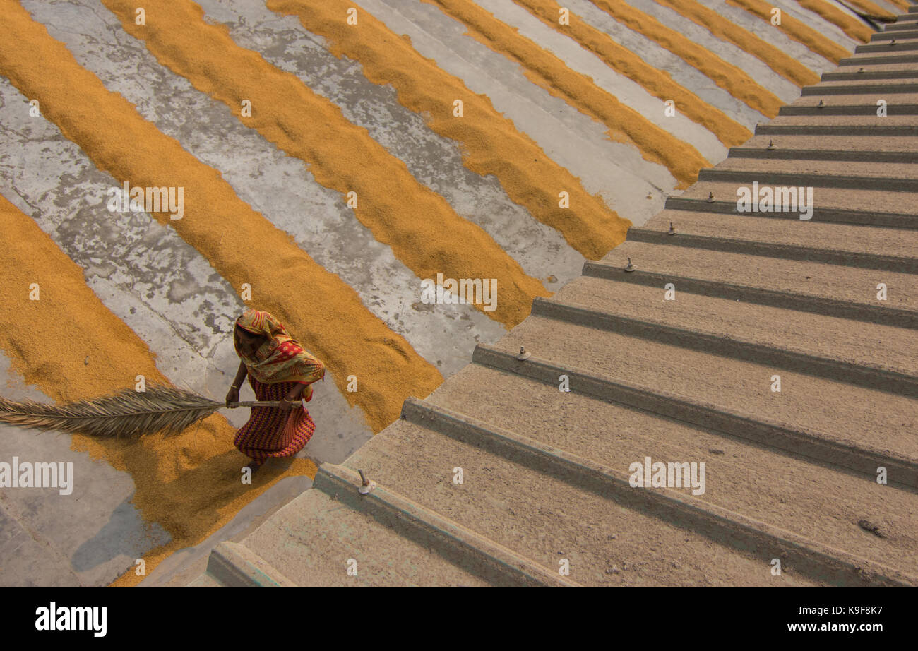 Industrial rice production bangladesh hi-res stock photography and ...
