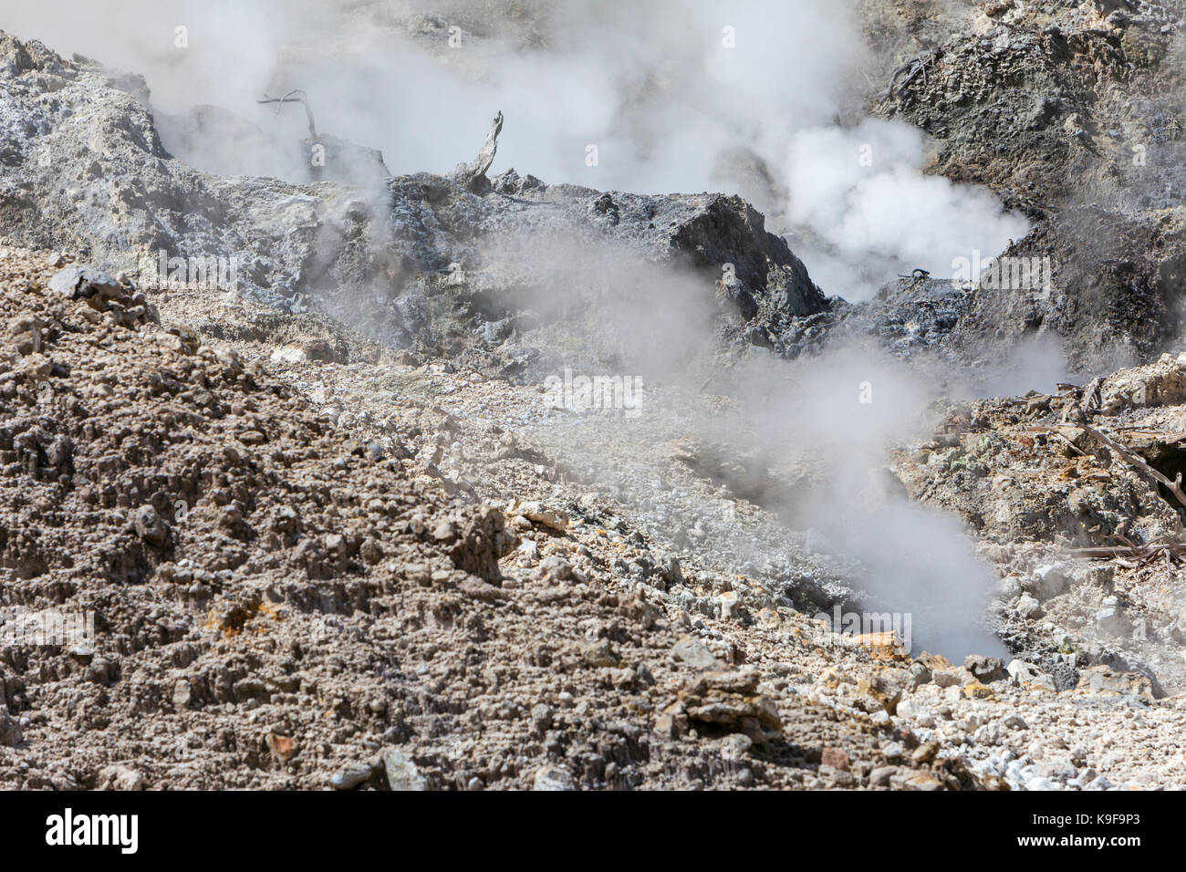 St. Lucia. Steam Vents and Boiling Mud in the Soufriere Caldera Stock ...