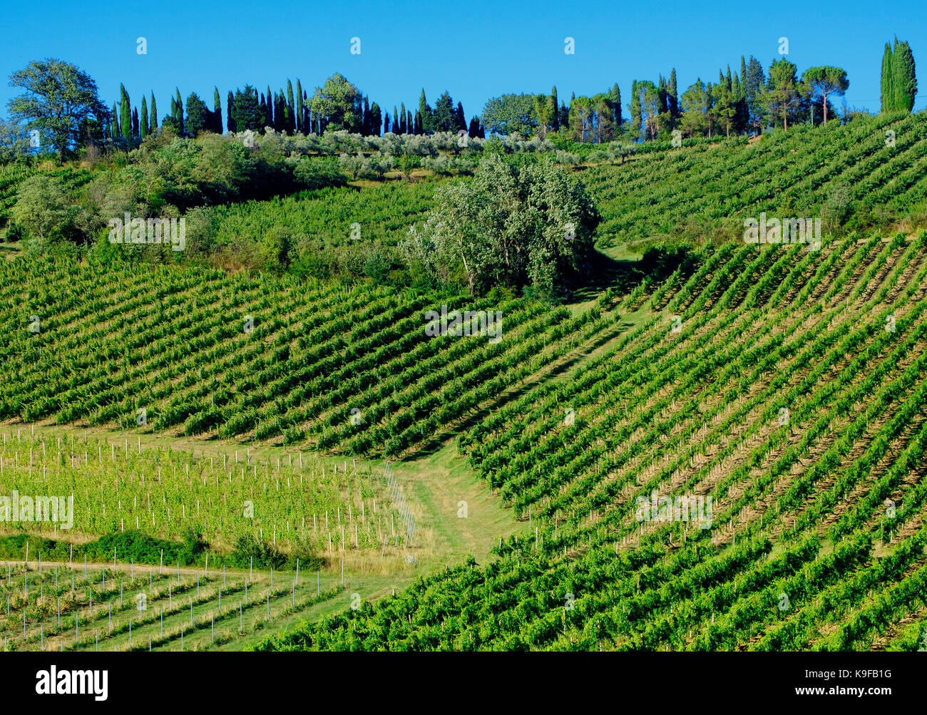 Country landscape between Imola (Bologna) and Riolo Terme (Ravenna ...