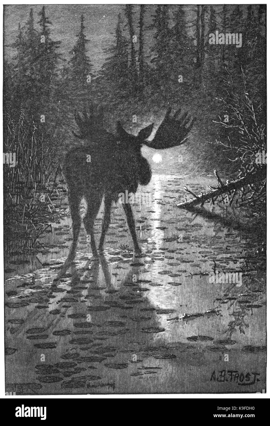Moose Hunting by Jacklight from a drawing by A B Frost Stock Photo - Alamy