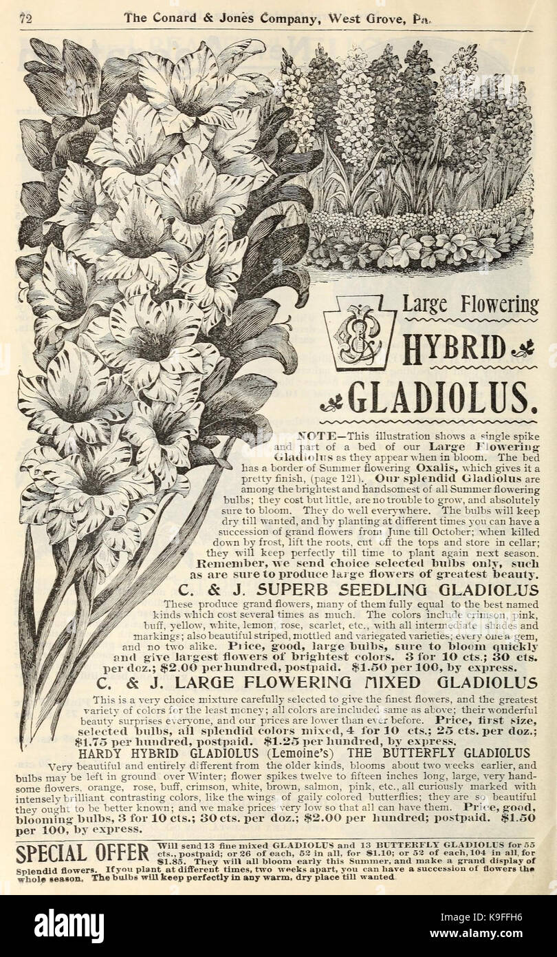 New floral guide hi-res stock photography and images - Alamy