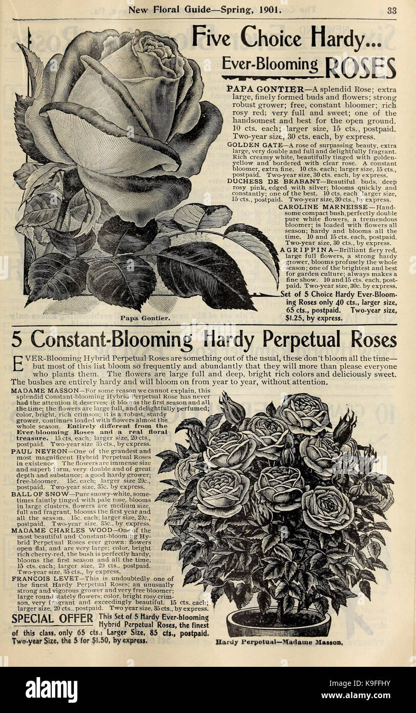 A botanical illustration from the *New Floral Guide*, featuring bulbs ...