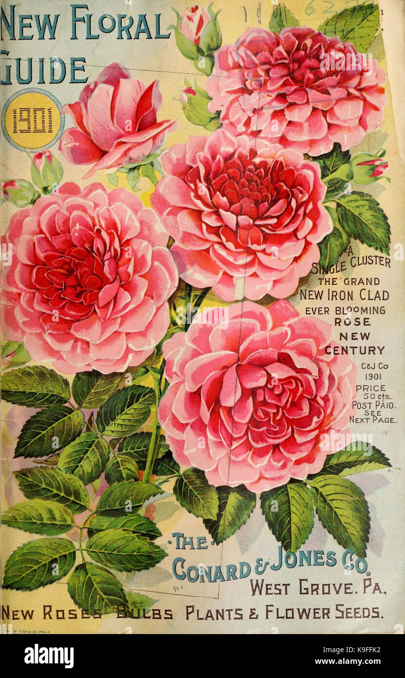 New floral guide (16863125475 Stock Photo - Alamy