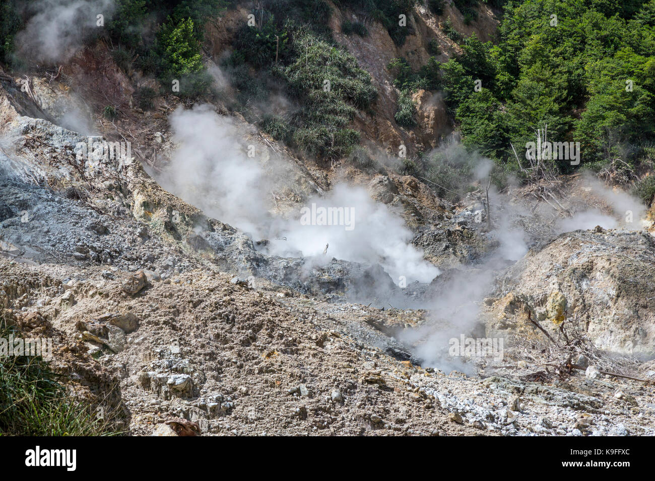 St. Lucia. Steam Vents and Boiling Mud in the Soufriere Caldera Stock ...
