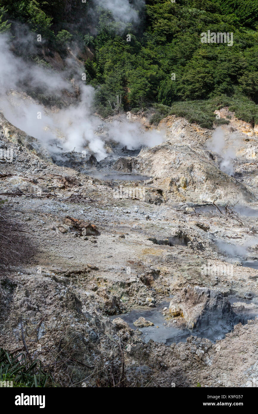 St. Lucia. Steam Vents and Boiling Mud in the Soufriere Caldera Stock ...