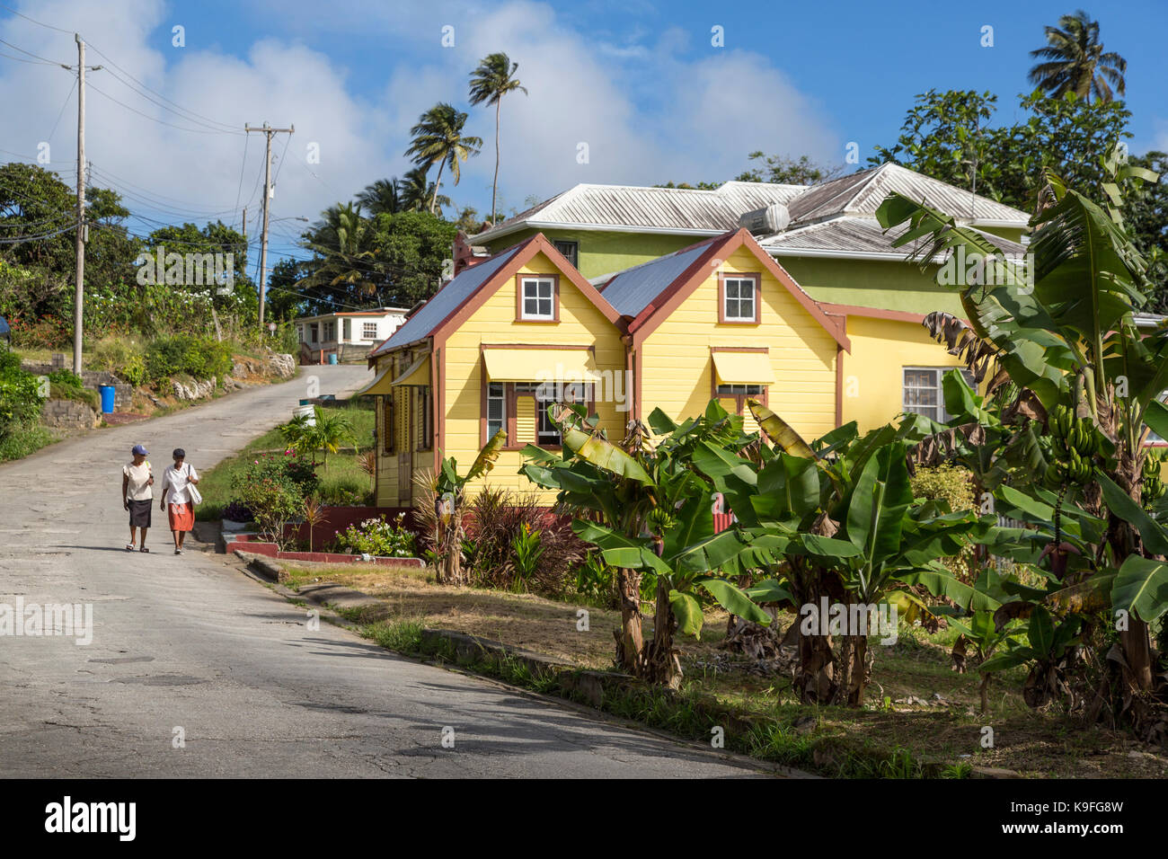 Barbados. Chattel House (Steep Roof, No Overhang) Construction in the ...