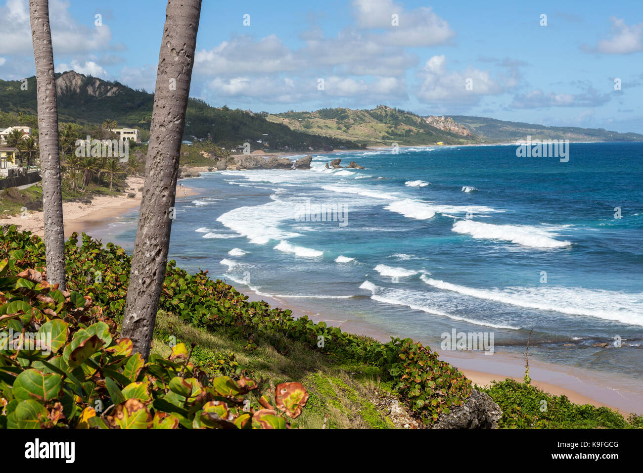 Barbados. Eastern Shore, Atlantic Ocean View from Bathsheba Stock Photo ...
