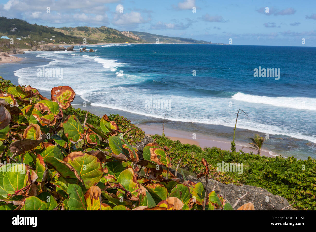 Barbados. Eastern Shore, Atlantic Ocean View from Bathsheba Stock Photo ...