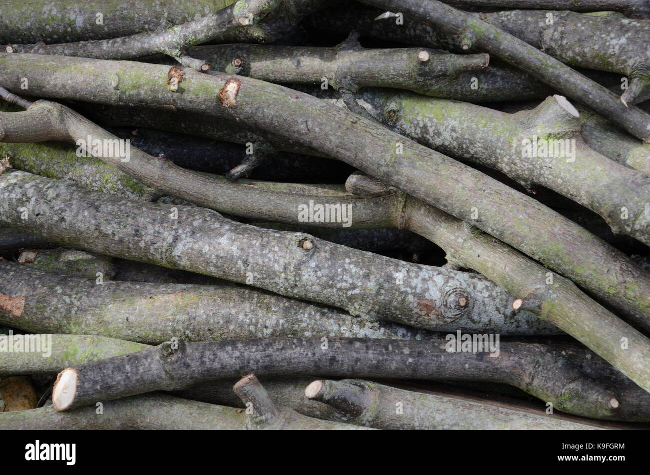 Small log pile hi-res stock photography and images - Alamy