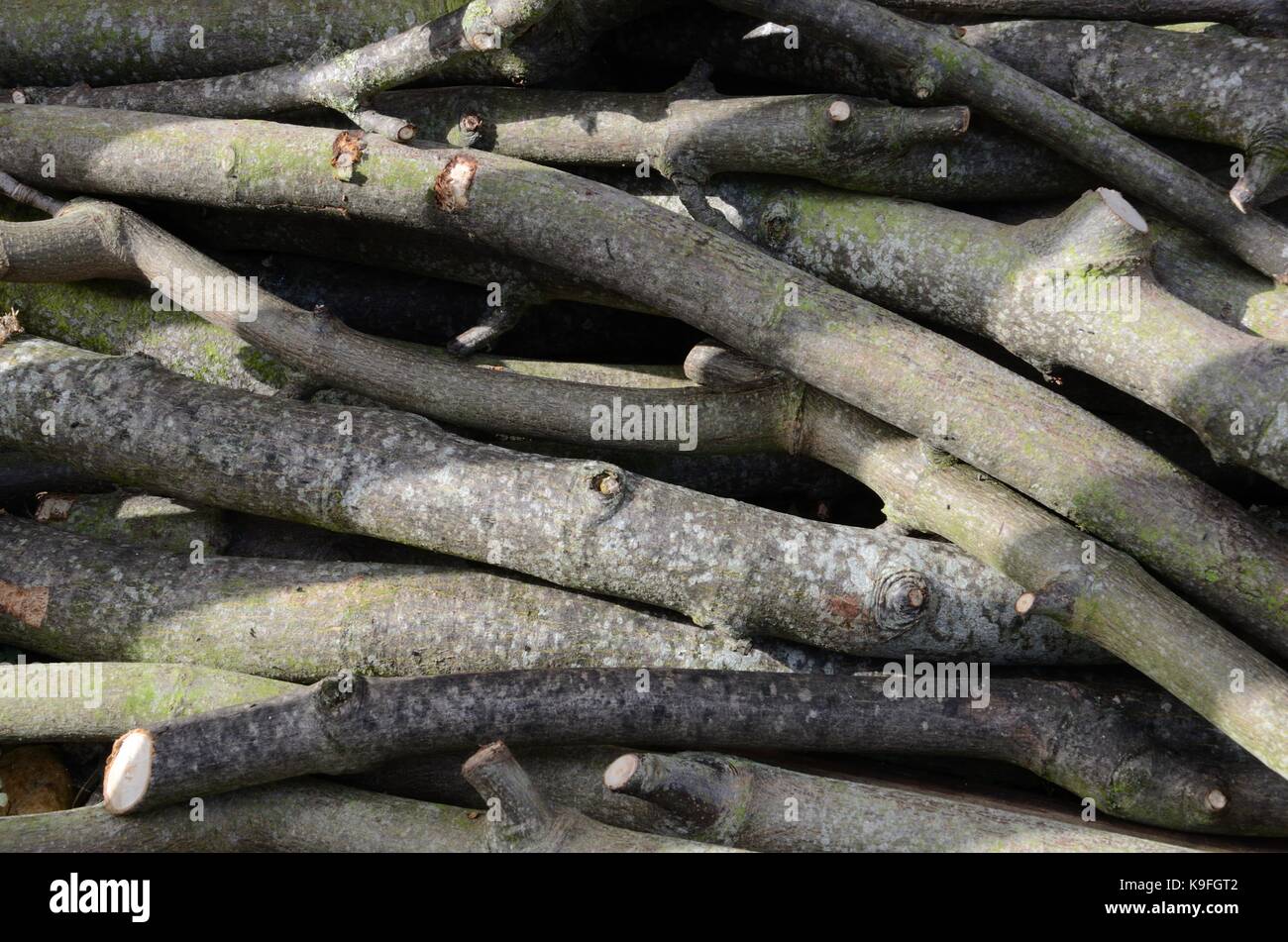 Pile of logs small hi-res stock photography and images - Alamy