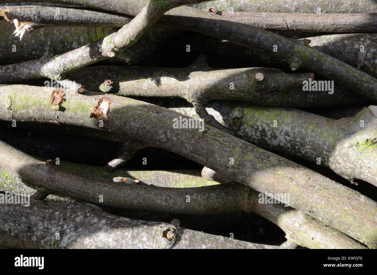 Small log pile hi-res stock photography and images - Alamy