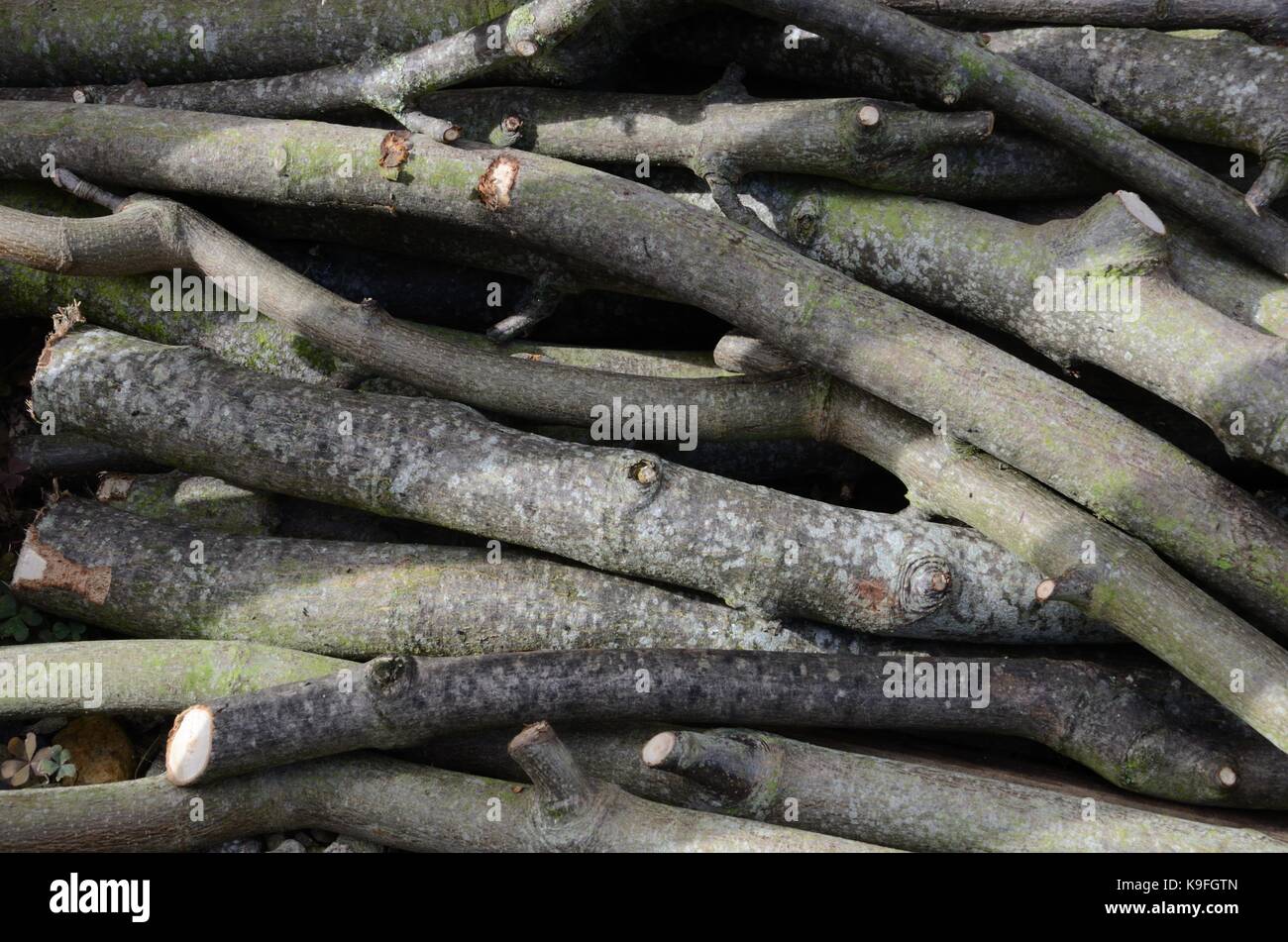 Pile of logs small hi-res stock photography and images - Alamy