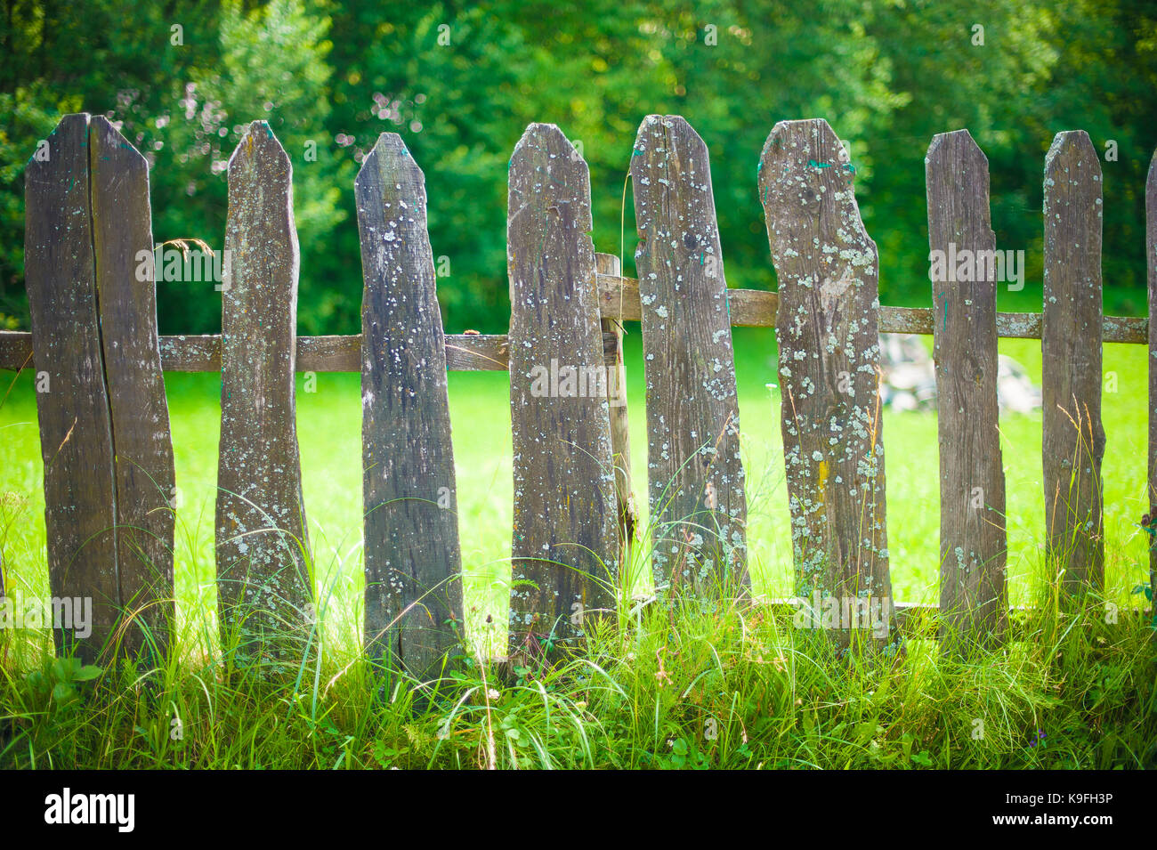 Old crooked wooden fence from separated boards in front of green meadow ...