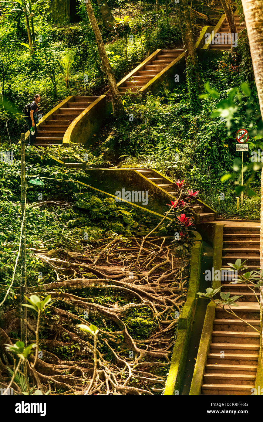 Bali, Indonesia - July 06, 2017. Stairs and roots and a tourist male in ...