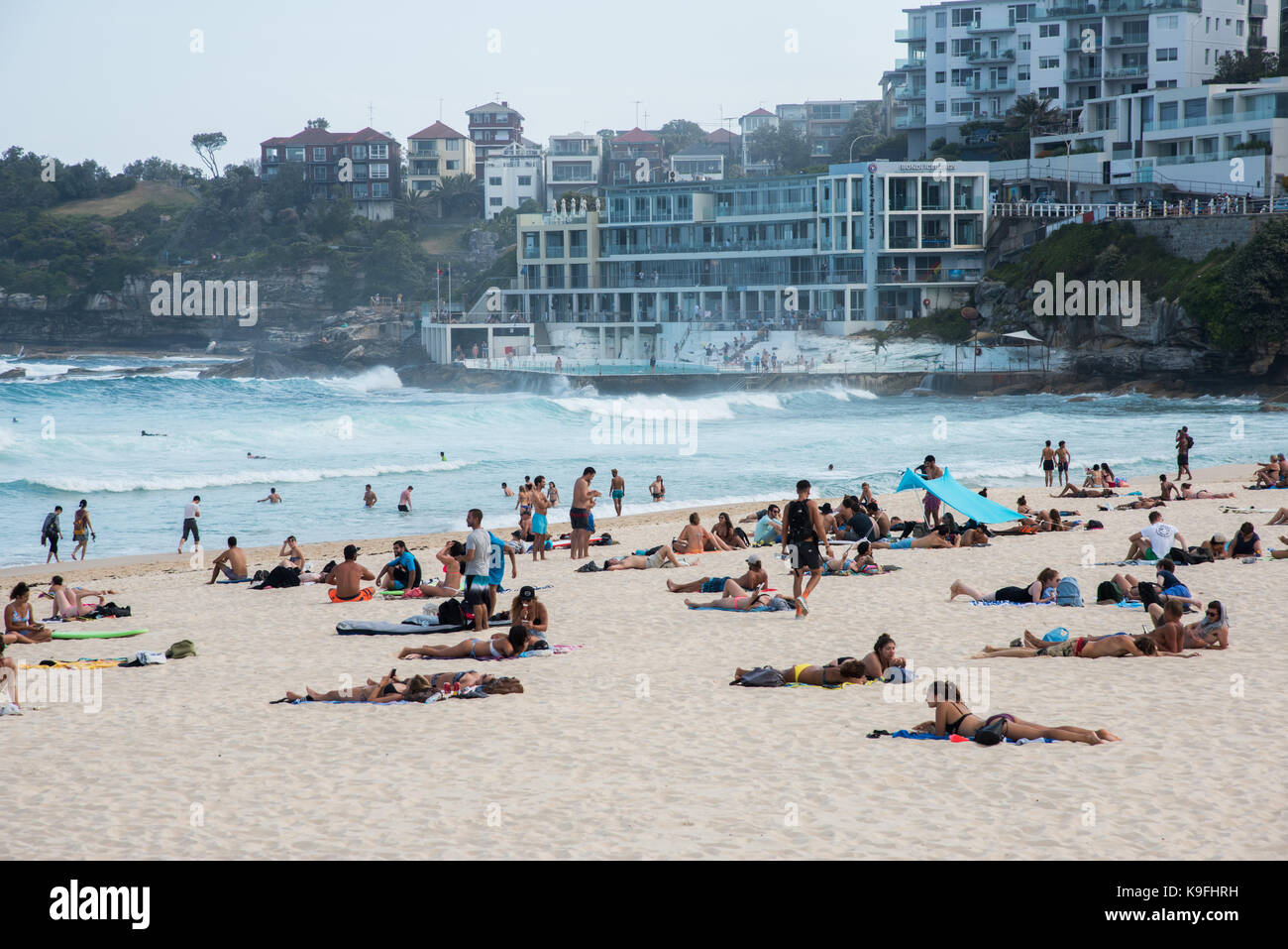 Sydney Nsw Australia November 21 2016 Sunbathing Surfing Waterfront