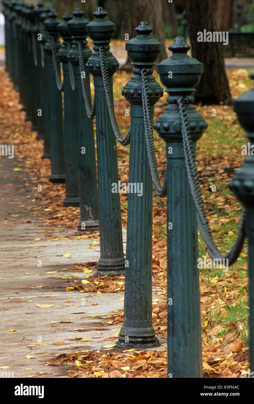 Portland park blocks hi-res stock photography and images - Alamy