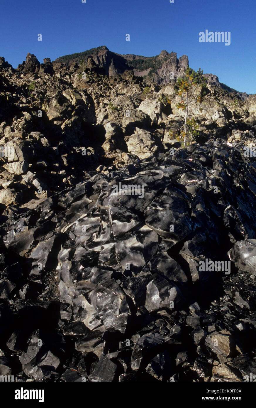 Paulina Peak from Obsidian Flow Trail, Newberry National Volcanic Monument, Oregon Stock Photo ...