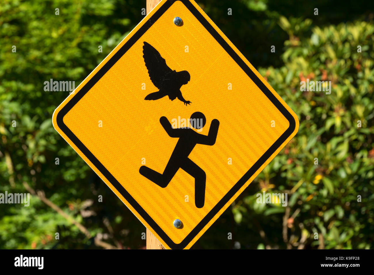 Sign with owl hi-res stock photography and images - Alamy