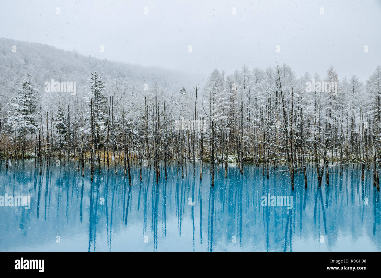 Blue Pond is a man-made water feature in Biei, Hokkaido, Japan. It is ...