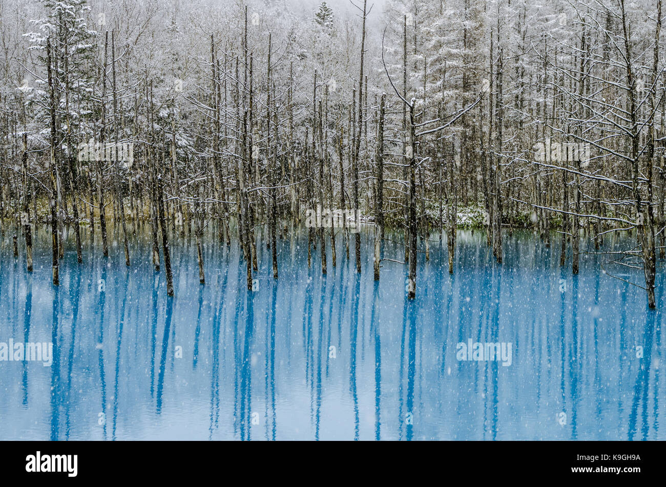 Blue Pond is a man-made water feature in Biei, Hokkaido, Japan. It is ...