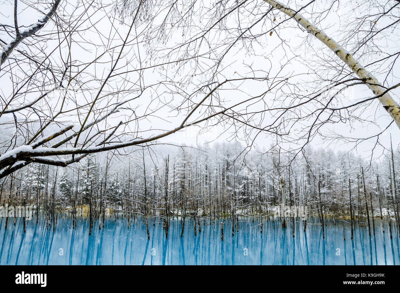 Blue Pond is a man-made water feature in Biei, Hokkaido, Japan. It is ...
