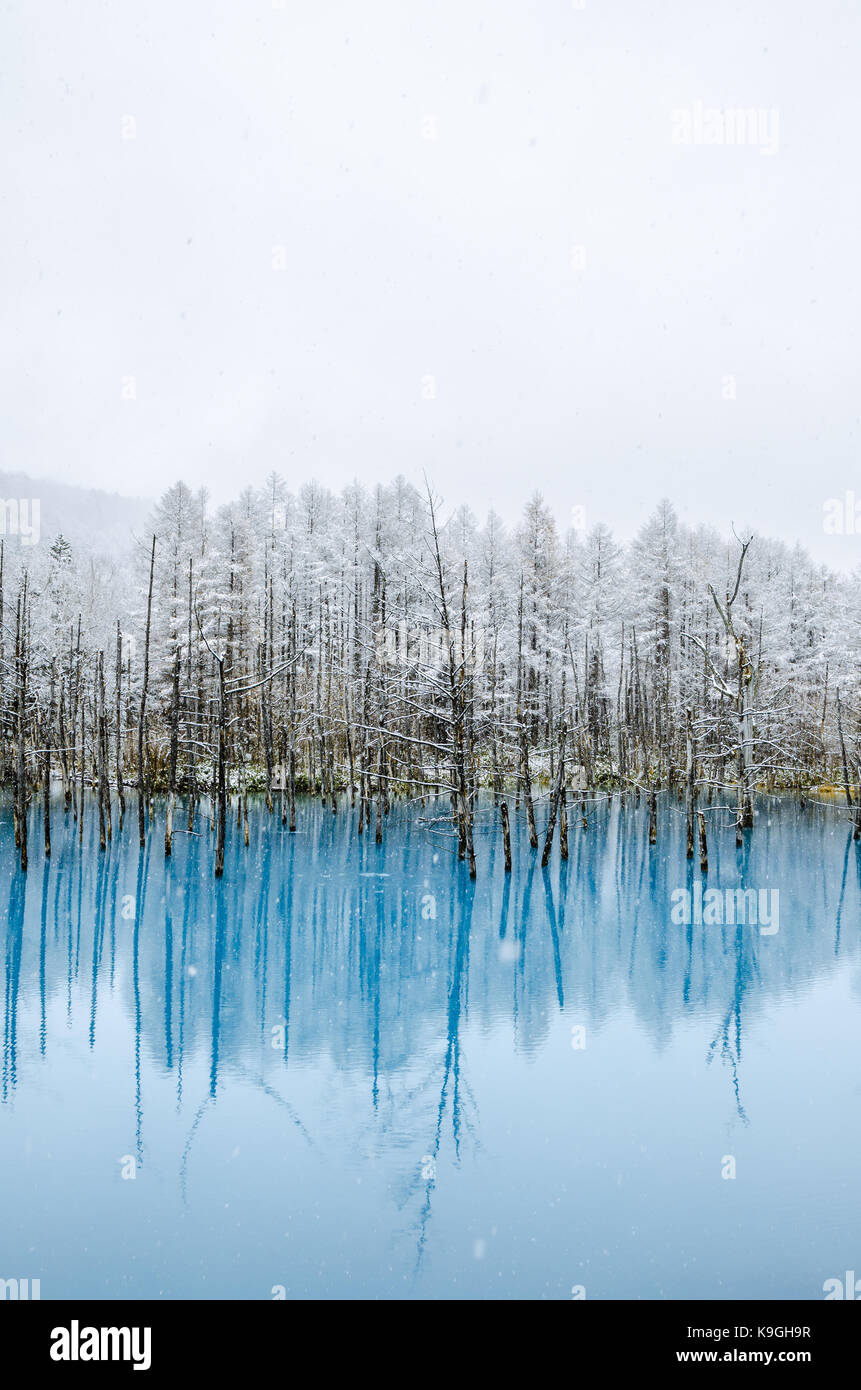 Blue Pond is a man-made water feature in Biei, Hokkaido, Japan. It is ...