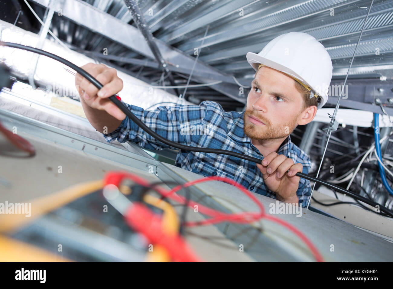 Woodwool hi-res stock photography and images - Alamy