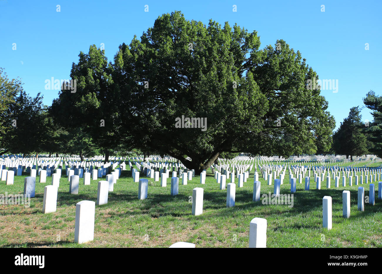 White graveyard and distributed tombstone in washington arlington ...