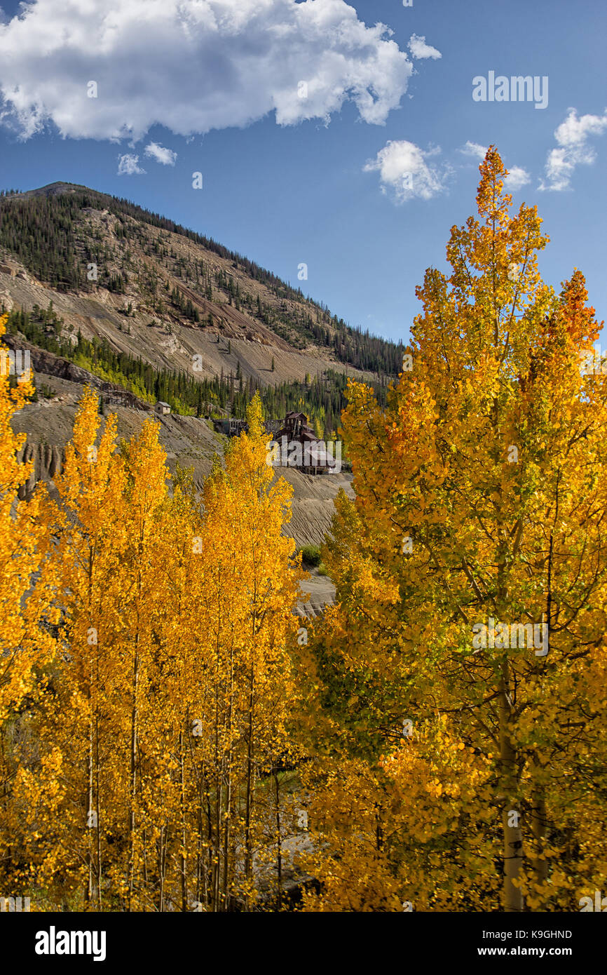 rocky mountain fall autumn tree colors Stock Photo - Alamy