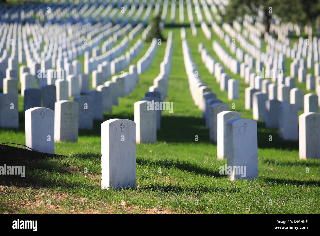 White graveyard and distributed tombstone in washington arlington ...