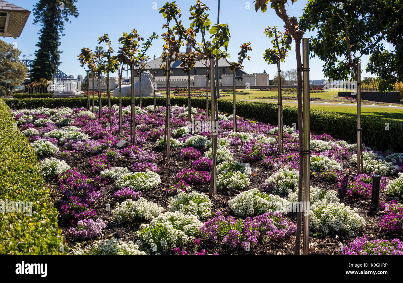Spring in the Royal Botanic Gardens, Sydney Stock Photo - Alamy