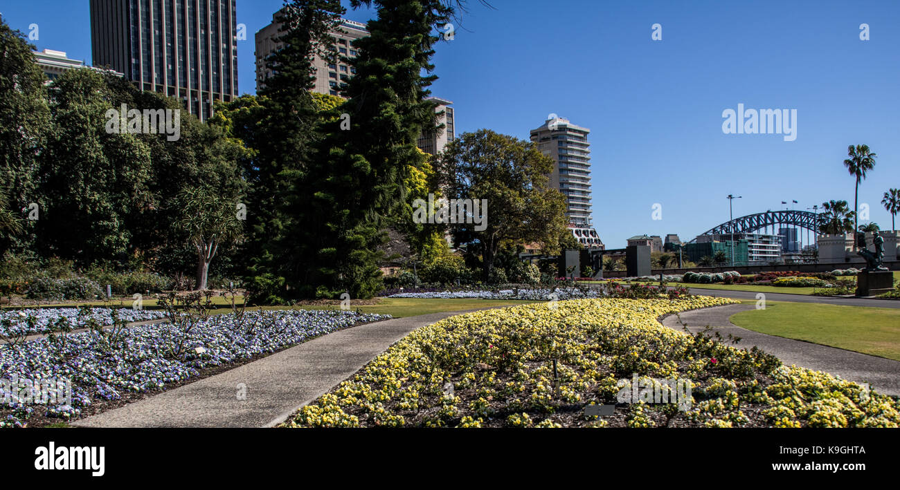 Spring in the Royal Botanic Gardens, Sydney Stock Photo - Alamy