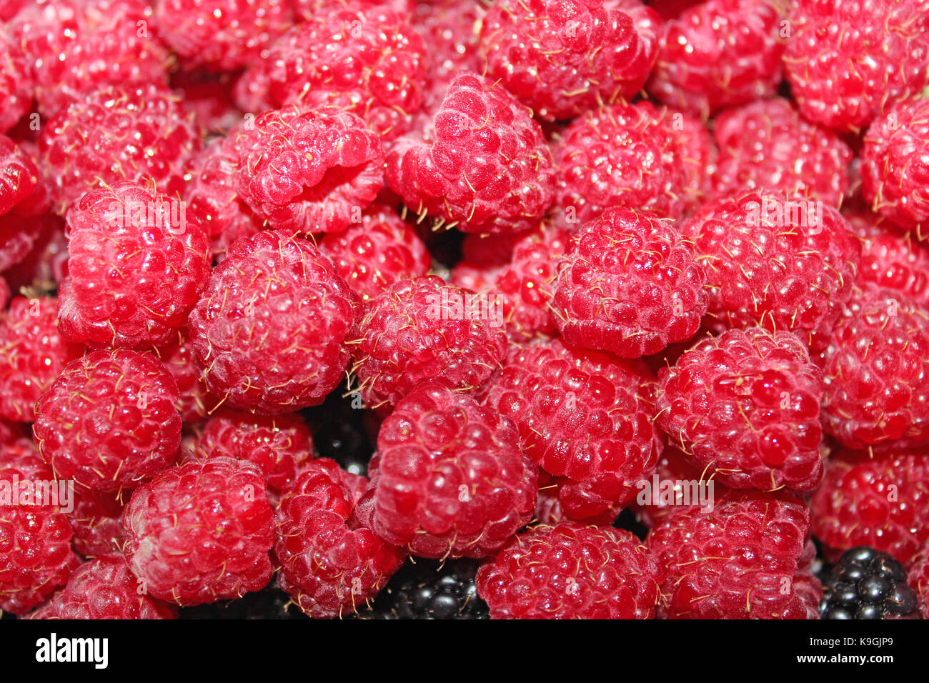 red ripe and tasty raspberry at the market Stock Photo - Alamy