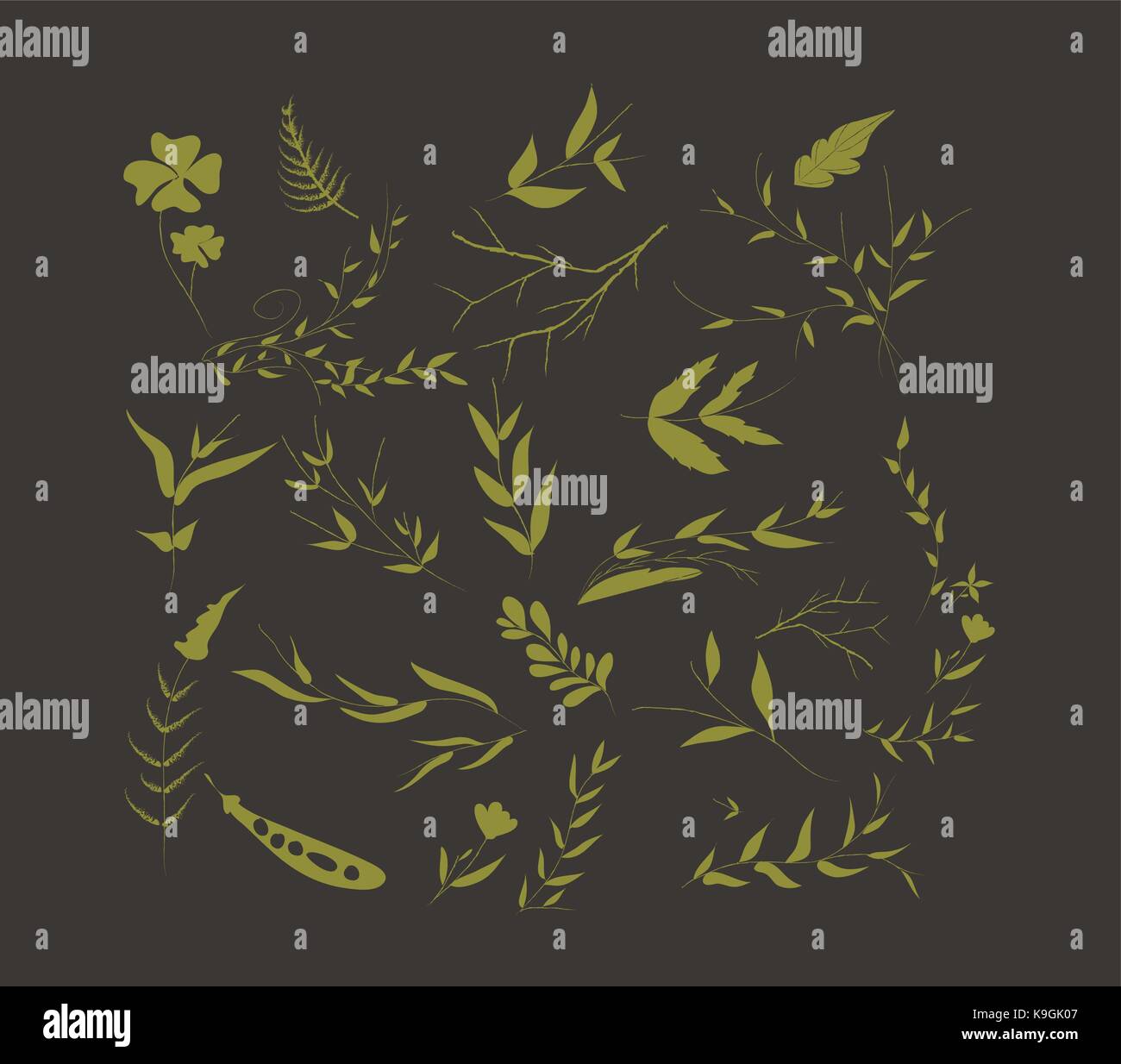 Hand drawn florals autumn collection Stock Vector Image & Art - Alamy