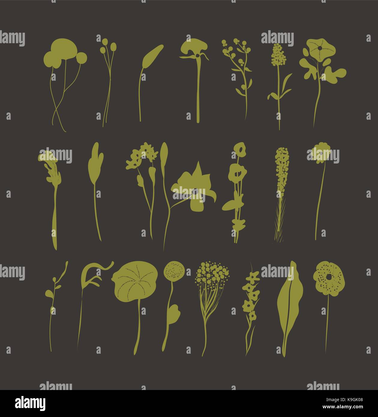 Hand drawn floral autumn vintage Stock Vector Image & Art - Alamy