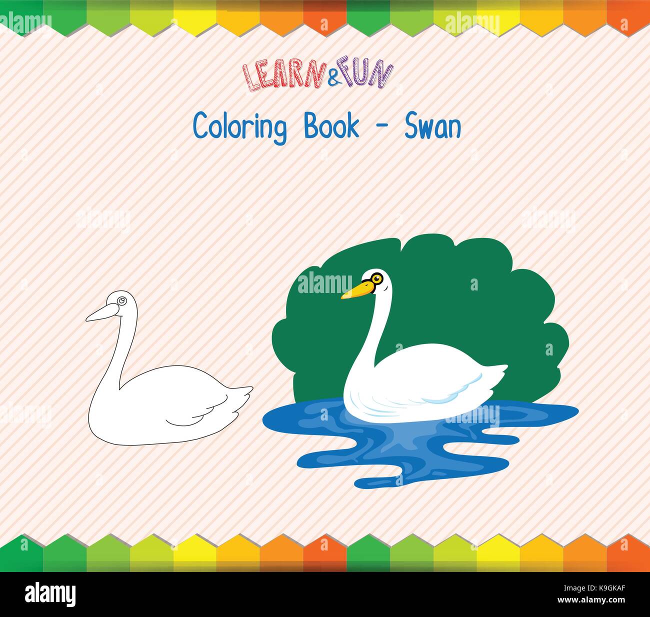 Swan study Stock Vector Images - Alamy