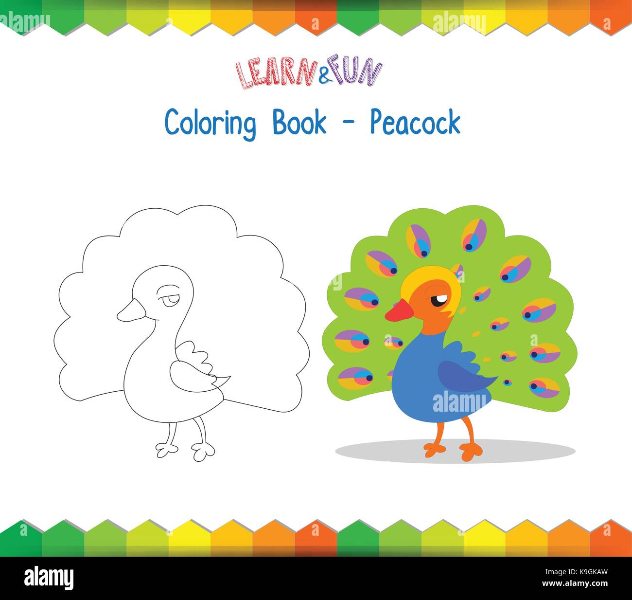 Peacock coloring book educational game Stock Vector Image & Art - Alamy