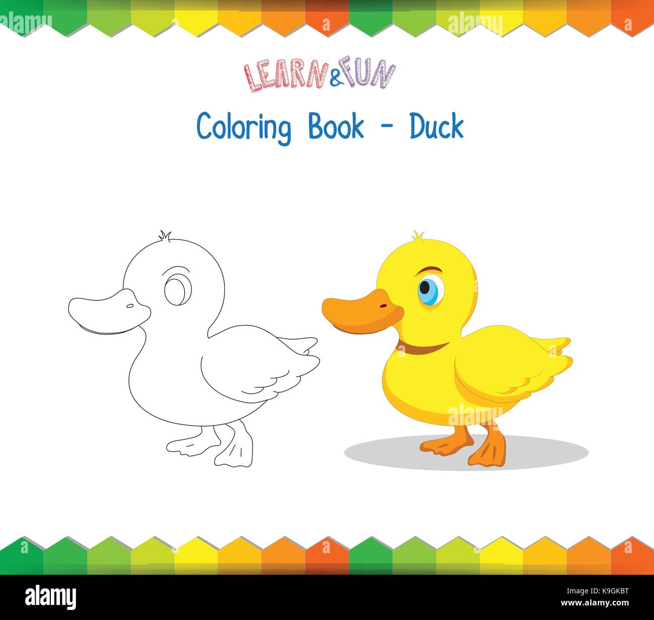 Duck coloring book educational game Stock Vector Image & Art - Alamy