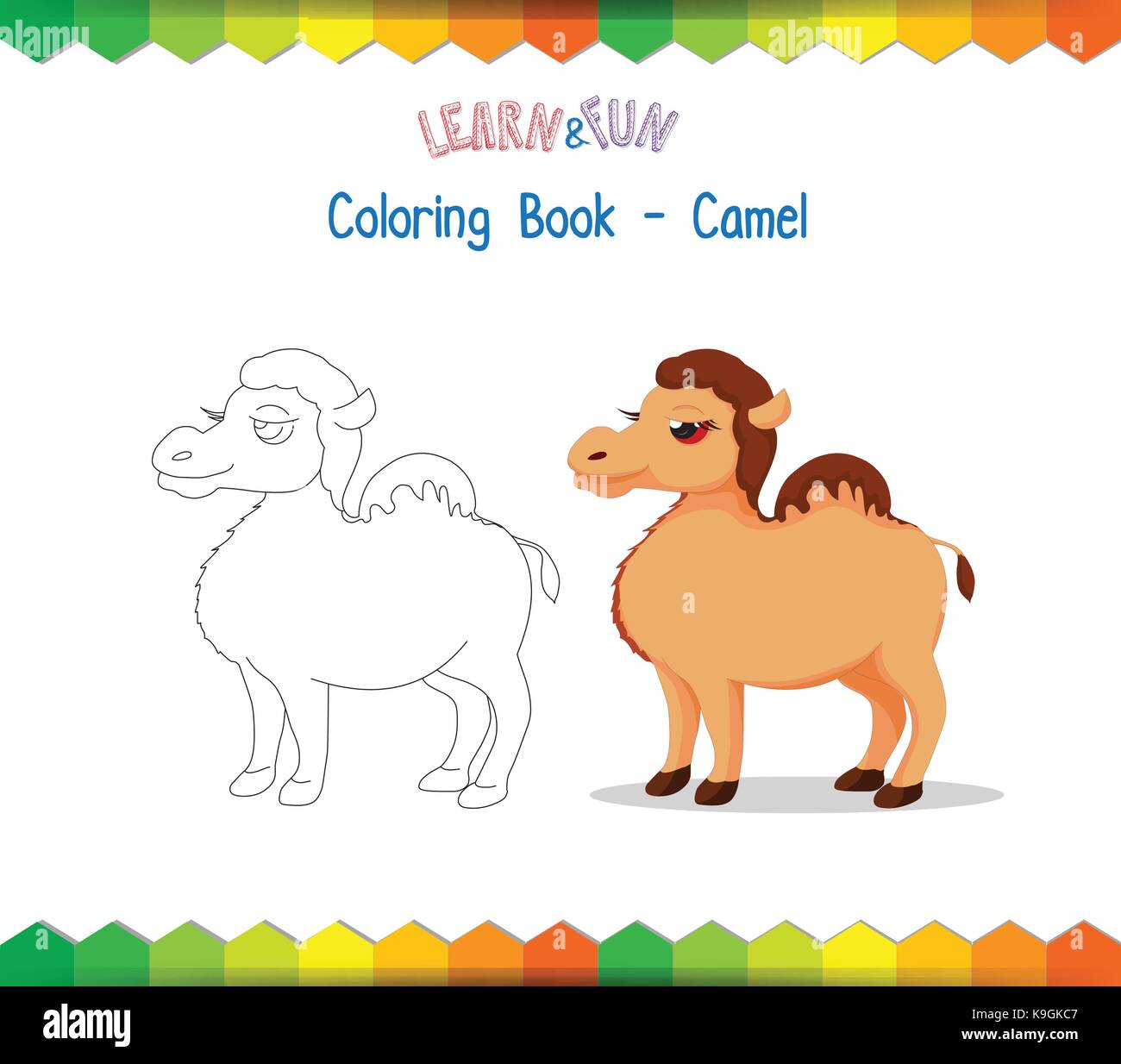 Camel coloring book educational game Stock Vector Image & Art - Alamy