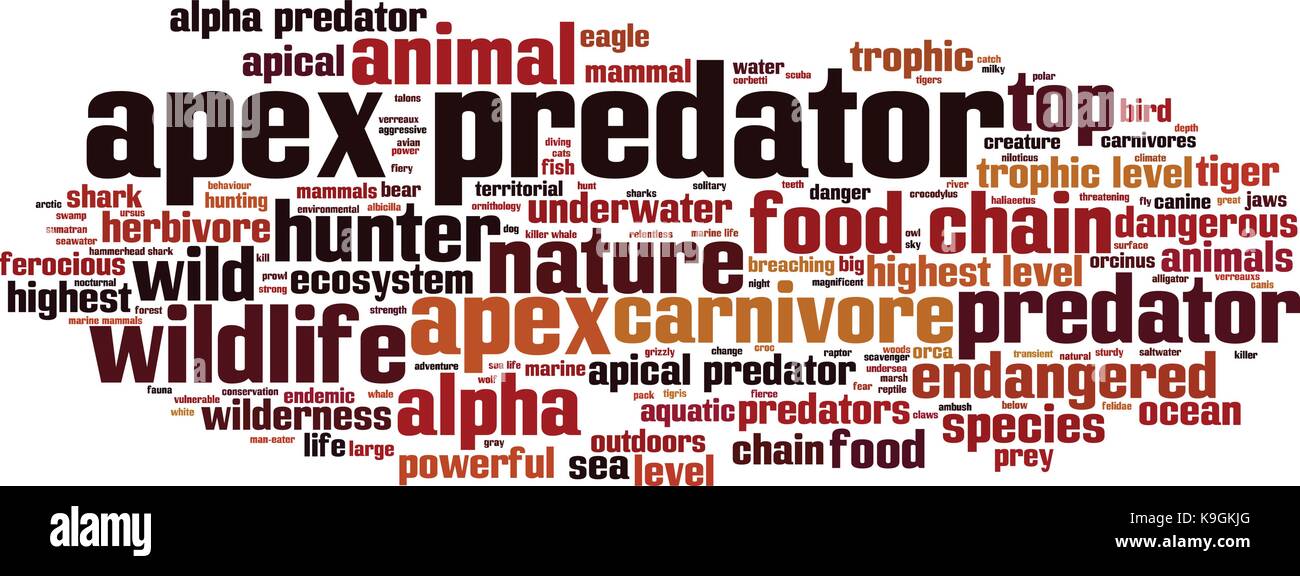 Apex predator word cloud concept. Vector illustration Stock Vector ...