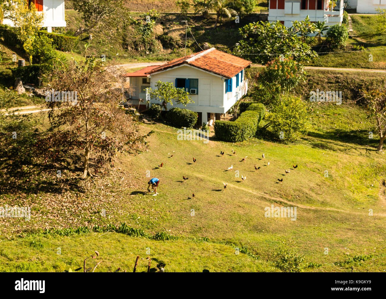 Lakeside rustic cabins and eco-lodges, Las Terrazas, pioneering eco ...