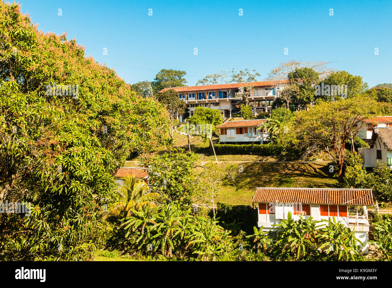Lakeside rustic cabins and eco-lodges, Las Terrazas, pioneering eco ...