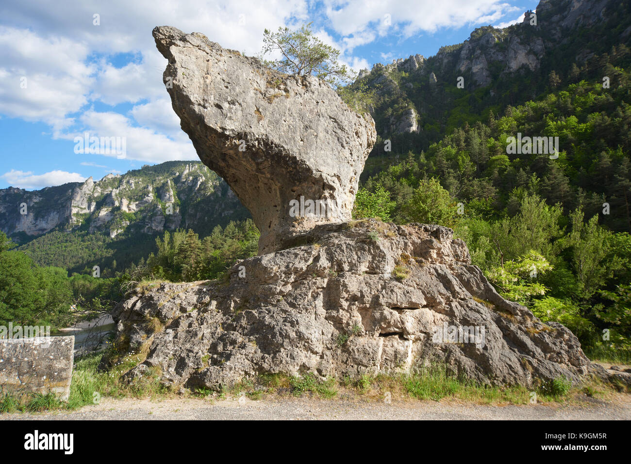 Following the Tarn Gorges Stock Photo - Alamy