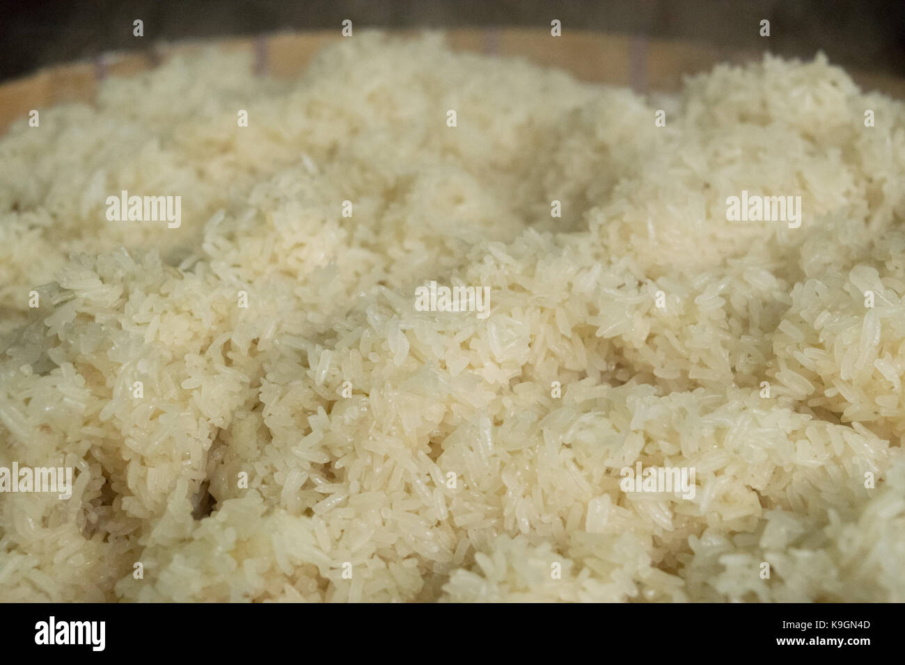 Sticky rice container hi-res stock photography and images - Alamy