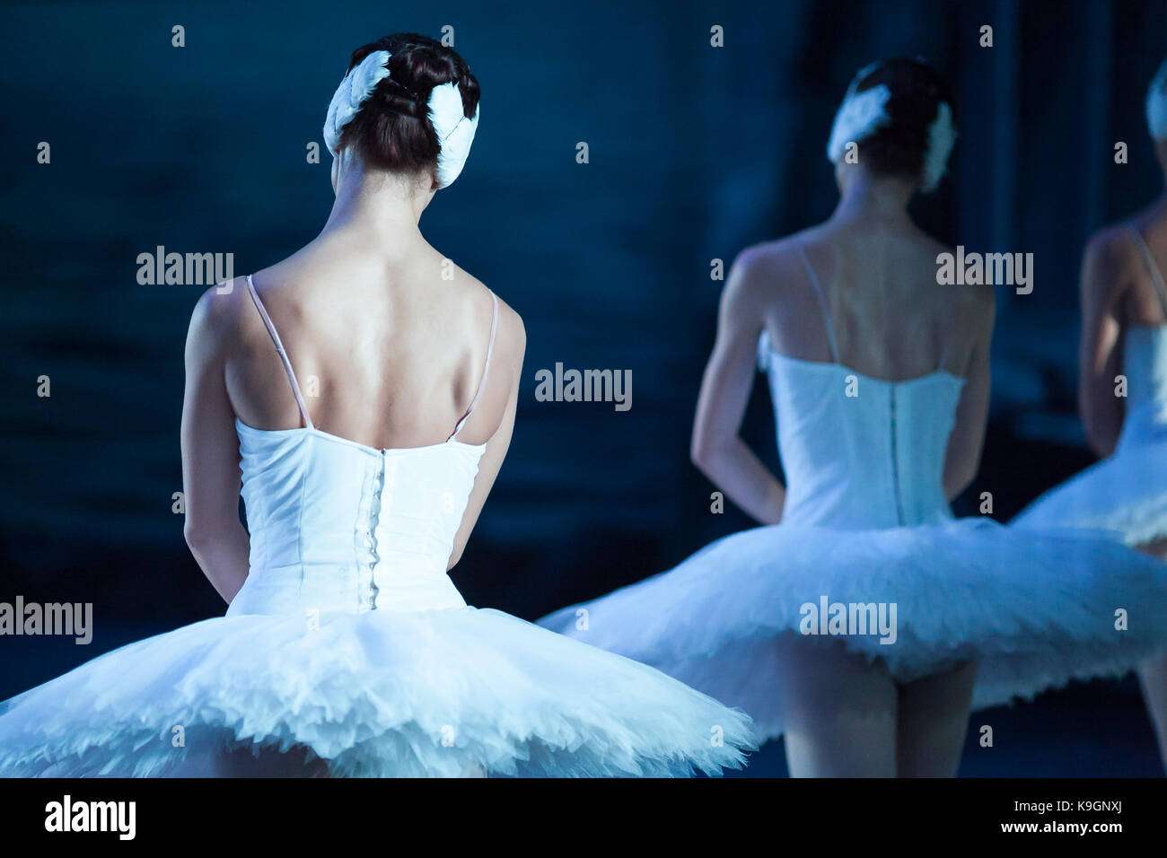 ballet, beauty, dramatic art concept. moveless and absolutly identical ...