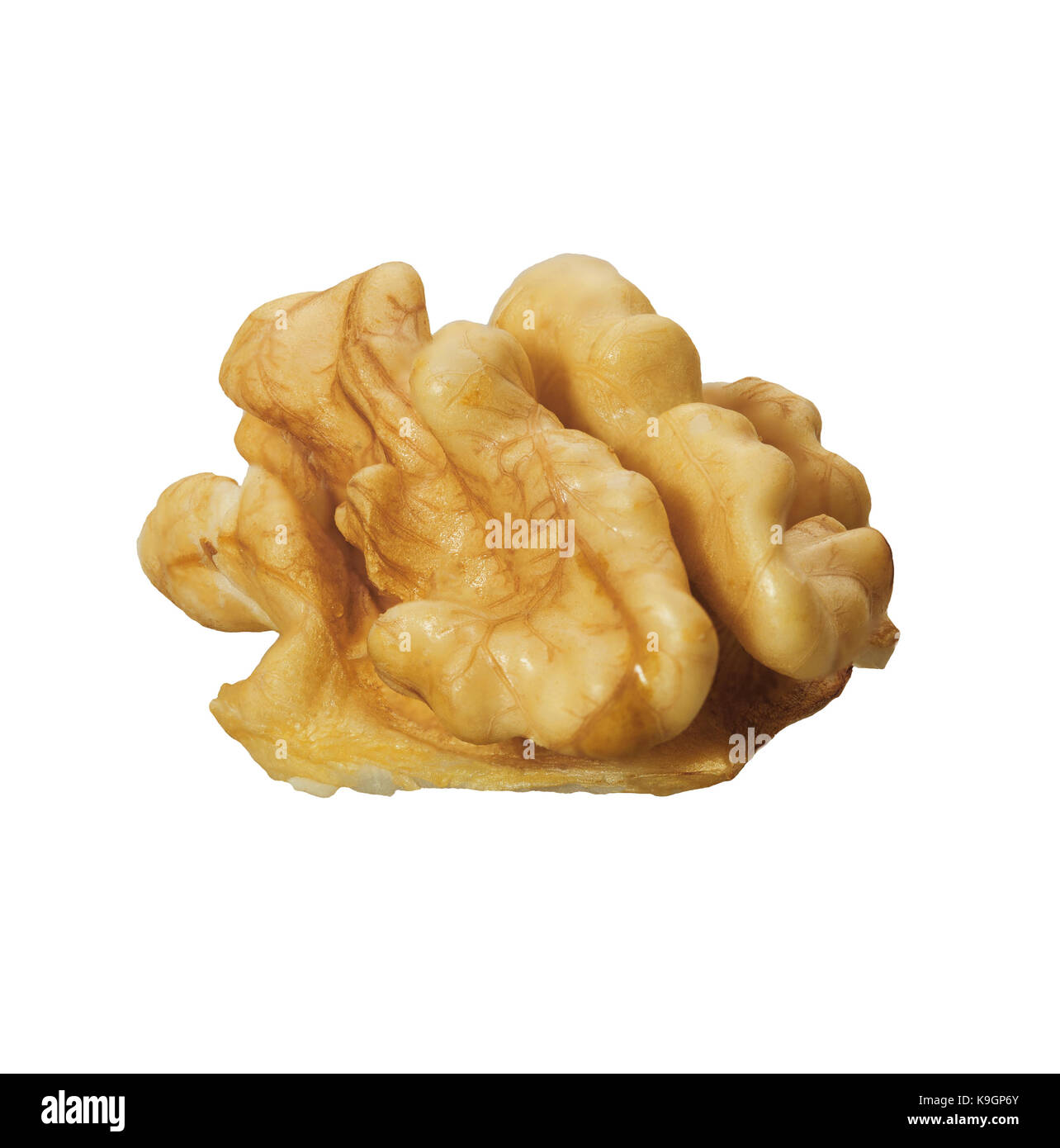 Walnut species hi-res stock photography and images - Alamy