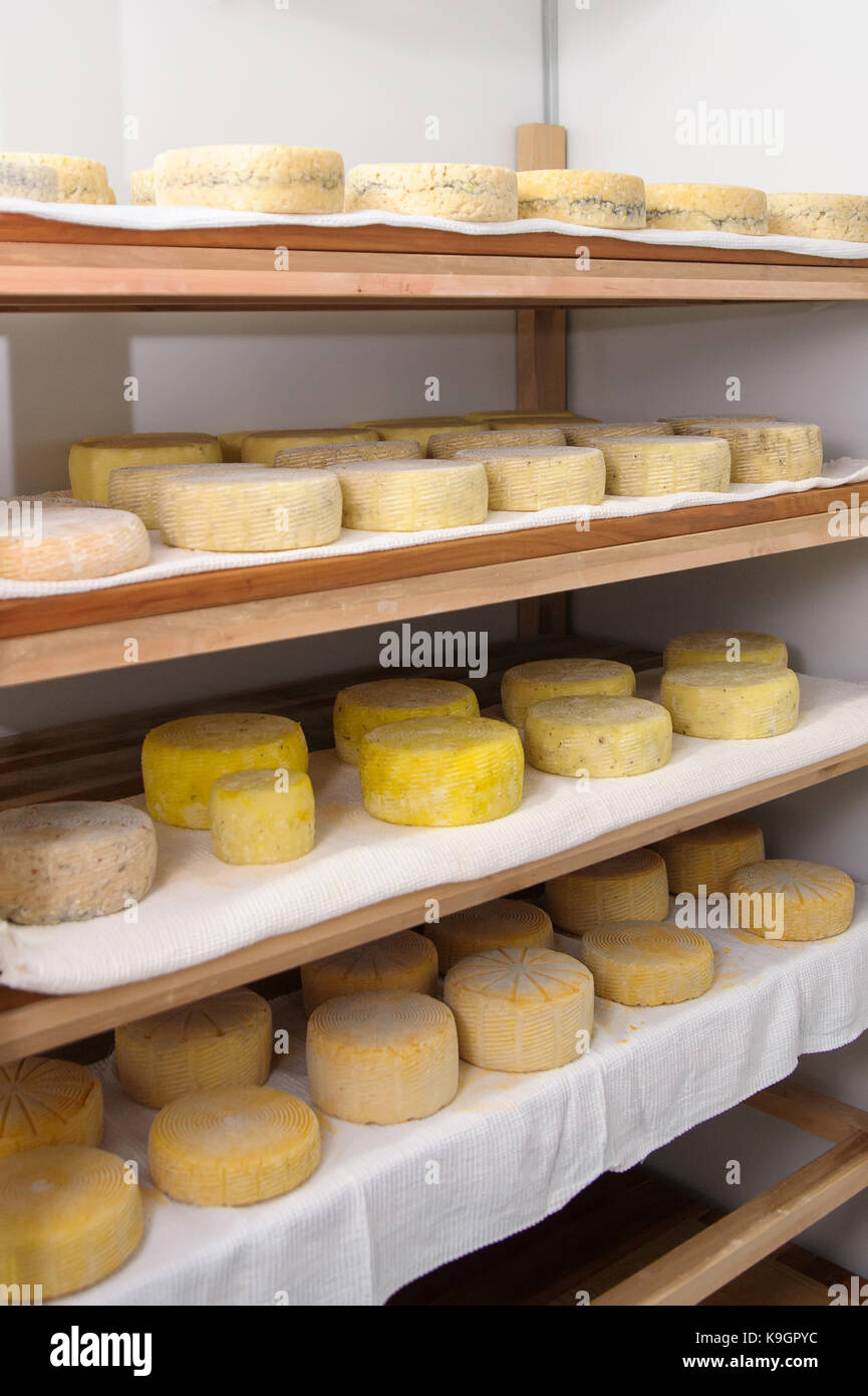 Racks dairy hi-res stock photography and images - Alamy